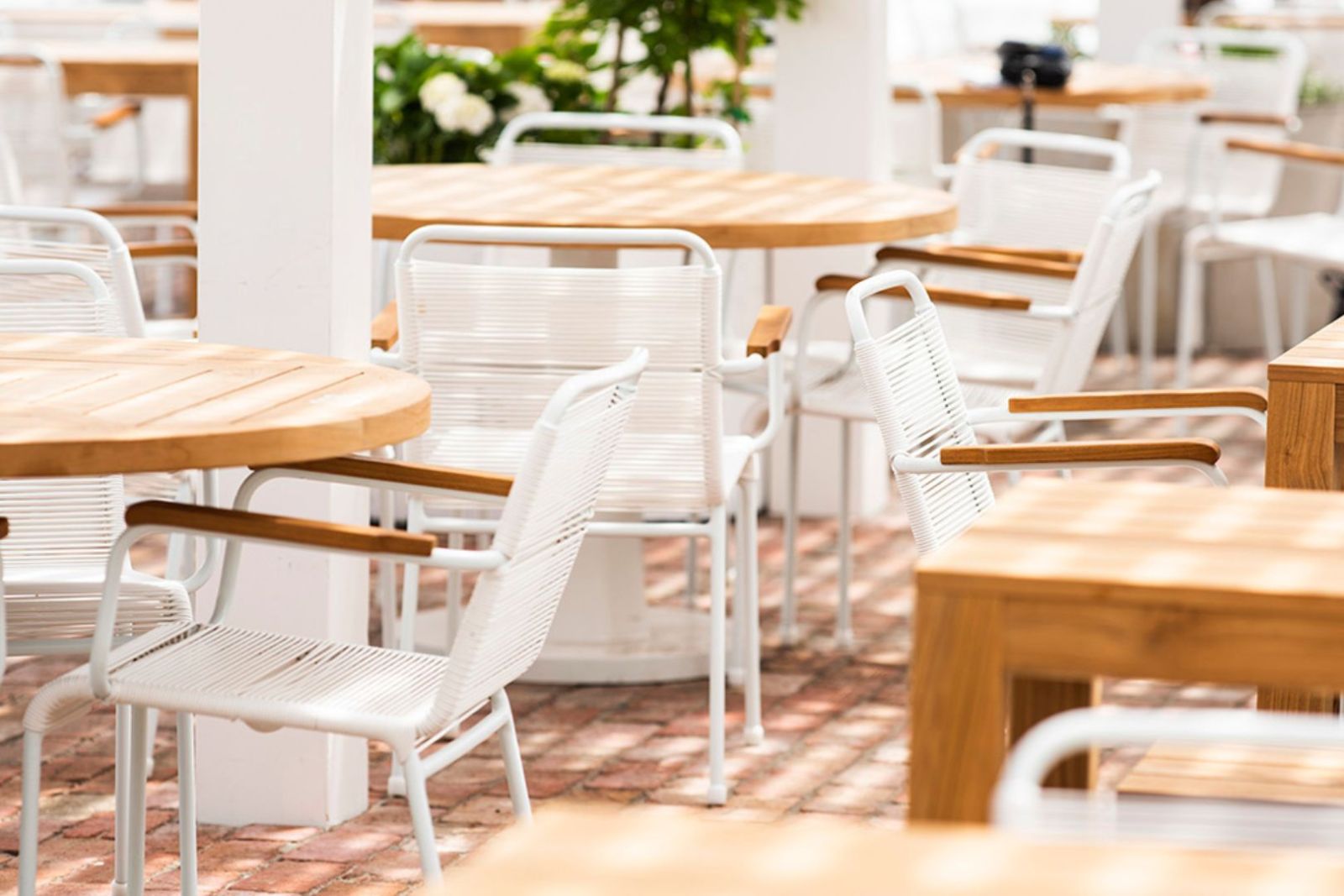 Trade Program | Satara